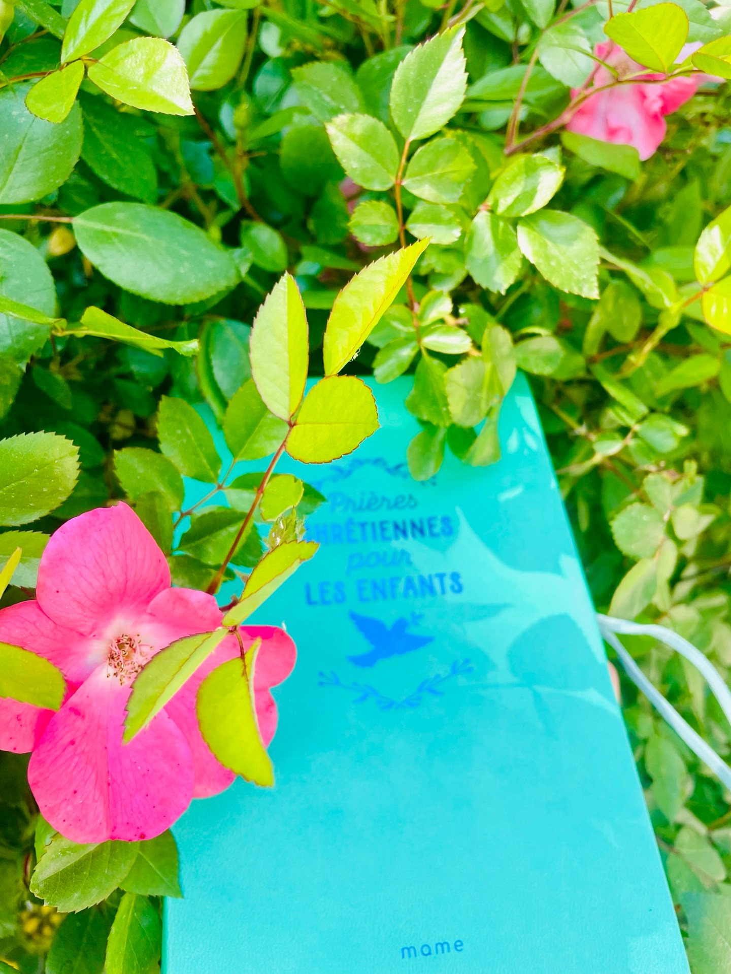 Prières et Méditations (1/2): le premier compagnon de route spi pour ...