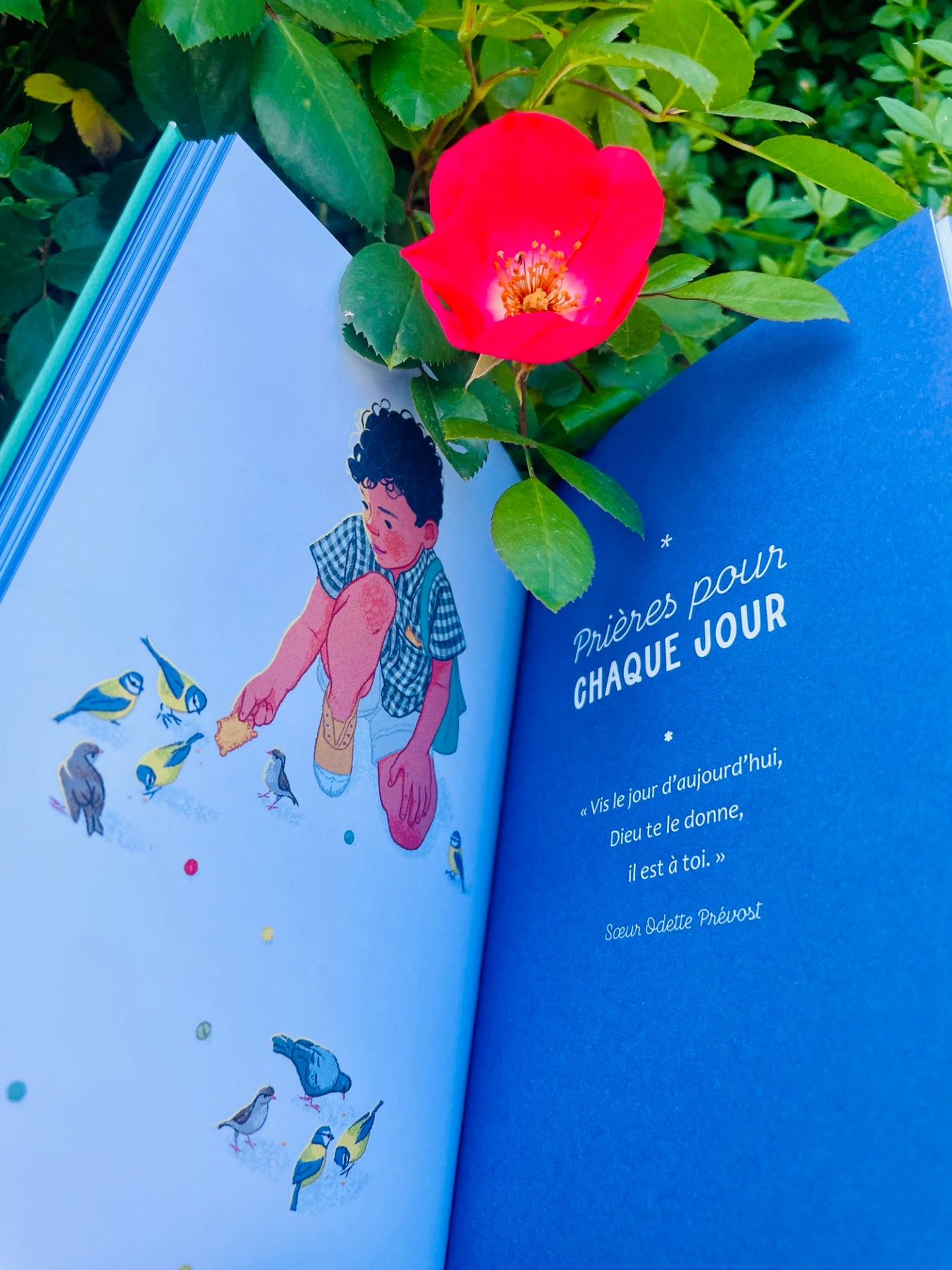 Prières et Méditations (1/2): le premier compagnon de route spi pour ...